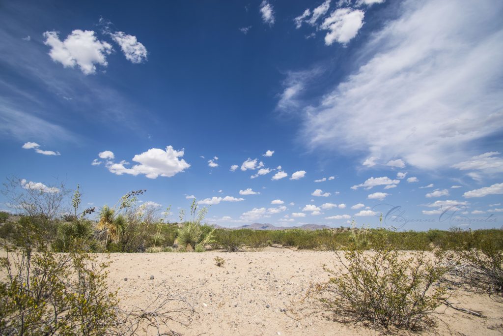 June- A reflection — Cheyenne Ammeter — Highways & Hailstones