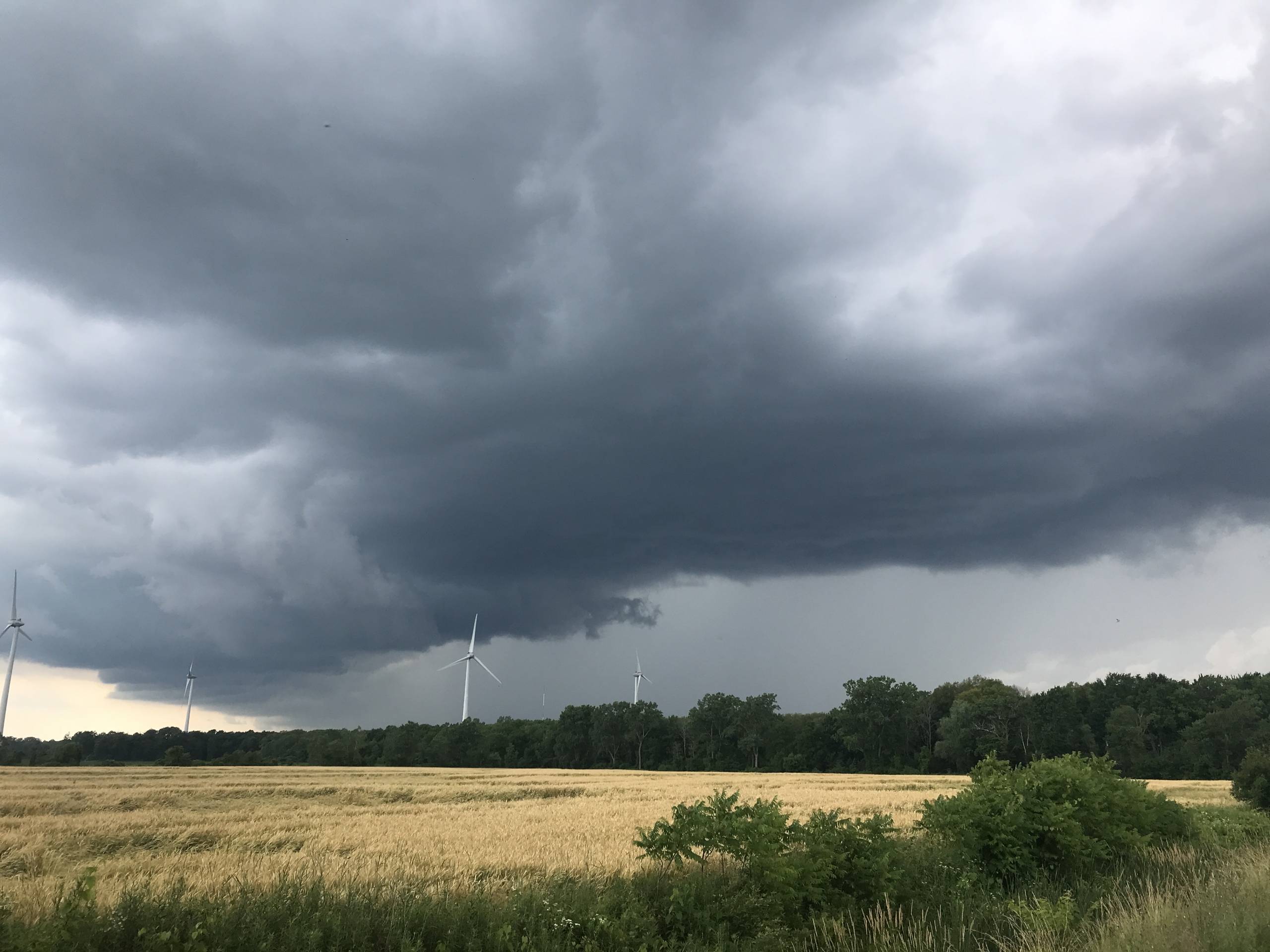 Canada Day chase on Dunnville-Wainfleet border — Dave Johnson ...