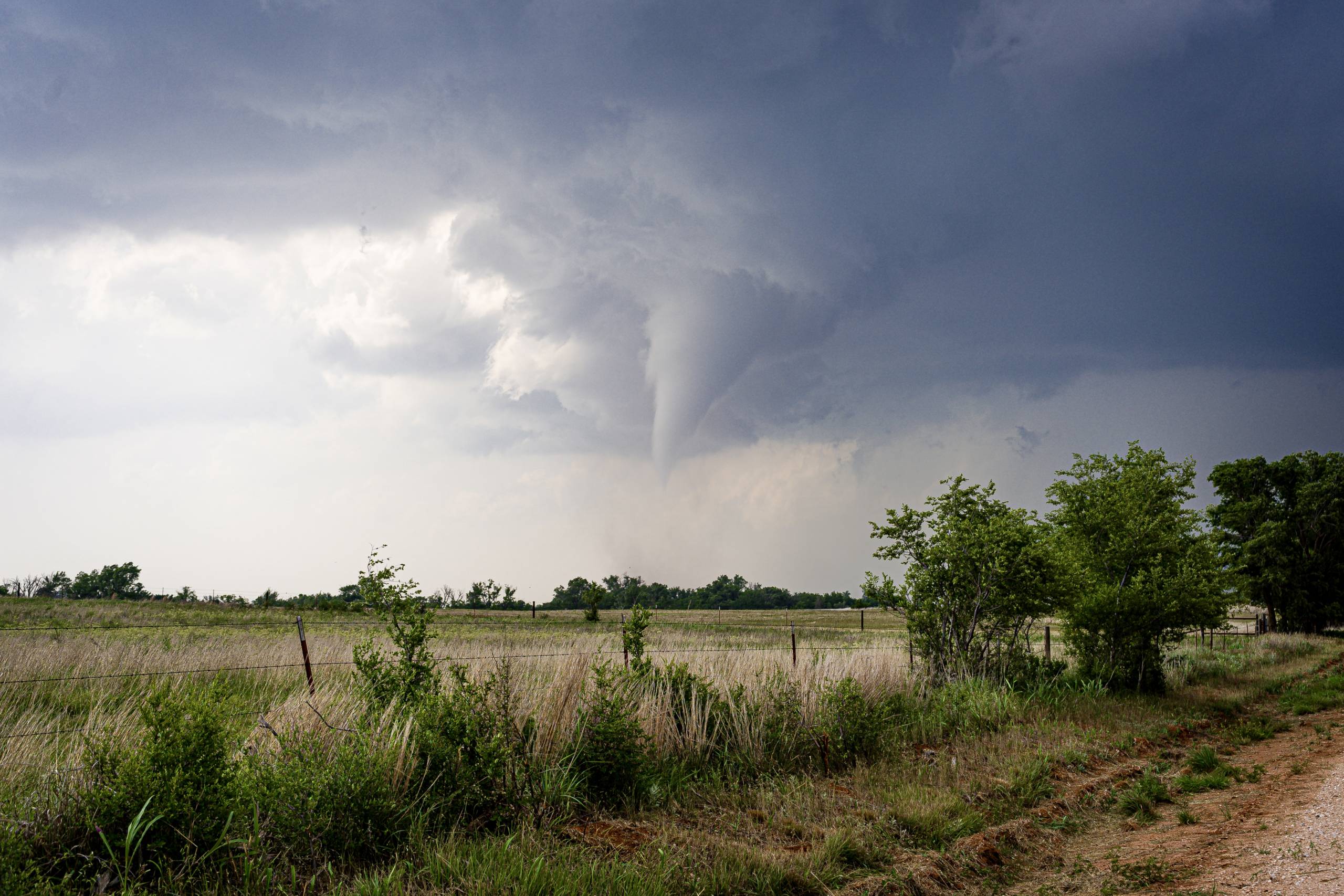 The Smell of Fresh Pine: May 25, 2024 Oklahoma Tornado — Alex Goldstein ...